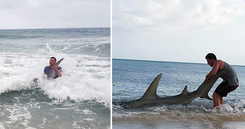 เด็กหนุ่มวัย 19 จับฉลามหนัก 400 กิโล และจับฉลามมาแล้วกว่า 200 ตัว ...