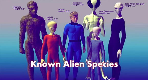 5 ประเภทของมนุษย์ต่างดาว จากคำบอกเล่าของพยานผู้พบเห็น - เพชรมายา