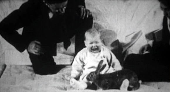 9 การทดลองสุดสะเทือนใจ ที่ไม่คิดว่าจะมีการทดลองแบบนี้อยู่บนโลก - เพชรมายา