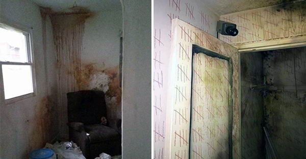 บ้านร้างหลังนี้ มีปริศนาลึกลับที่ชวนขนหัวลุกซ่อนอยู่ ? - เพชรมายา