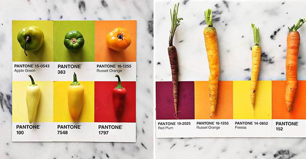 25 สี Pantone สำหรับของกิน ที่ทำให้เราเข้าใจสีอาหารมากขึ้น - เพชรมายา