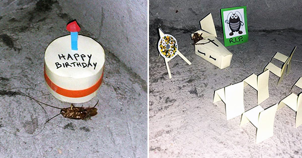 ชายหนุ่มพบแมลงสาบนอนตายที่บันไดออฟฟิศ จนกลายเป็นคดีปริศนาแบบนี้ - เพชรมายา