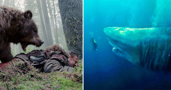 ฉากต่อสู้ระหว่างมนุษย์กับสัตว์ในหนังดัง ที่คุณไม่รู้ว่ามันผิดจากหลัก ...