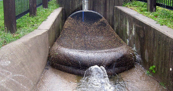 ออสเตรเลียพบวิธีรักษาน้ำจากมลพิษพลาสติก และไทยน่าทำบ้าง - เพชรมายา