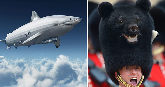 ศิลปินหนุ่มผู้ชื่นชอบตัดต่อภาพสัตว์เข้ากับสิ่งอื่น จนทำให้เกิดผลลัพธ์ ...