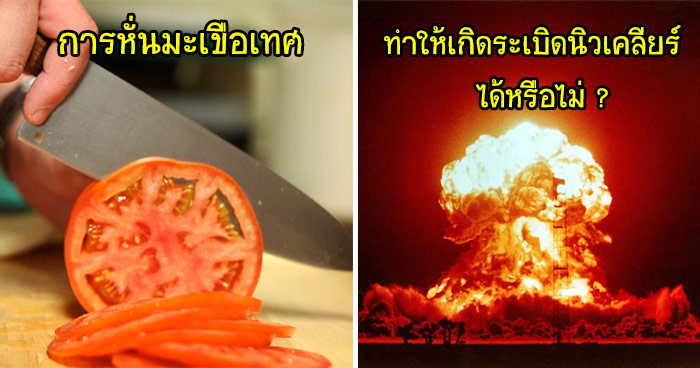 มีคนสงสัย การหั่นมะเขือเทศทำให้เกิดระเบิดนิวเคลียร์ได้หรือไม่ จนได้ ...