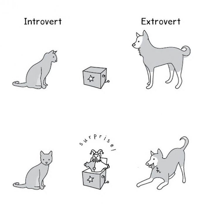 มีอะไรอยู่ในหัวคนประเภท Introvert (คนเก็บตัว) ภาพเหล่านี้มีคำตอบ - เพชรมายา