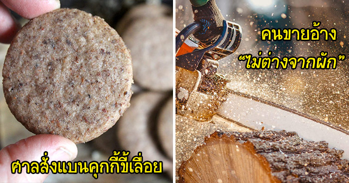 คนทำขนมปังที่ขายคุกกี้ขี้เลื่อยมา 20 ปี ถูกศาลสั่งให้หยุดขายแล้ว - เพชรมายา