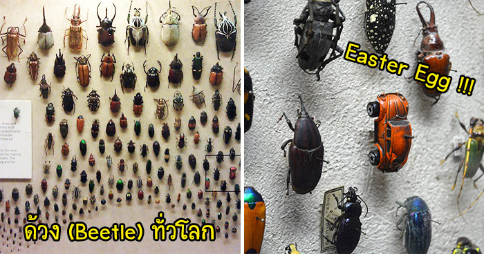 20 ผู้คนที่ค้นพบ Easter Egg ในชีวิตจริง - เพชรมายา