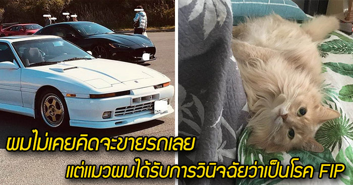 หนุ่มญี่ปุ่นตัดใจขายรถสุดรักเพื่อนำเงินไปรักษาแมวที่ป่วย เจอผู้ซื้อที่ ...
