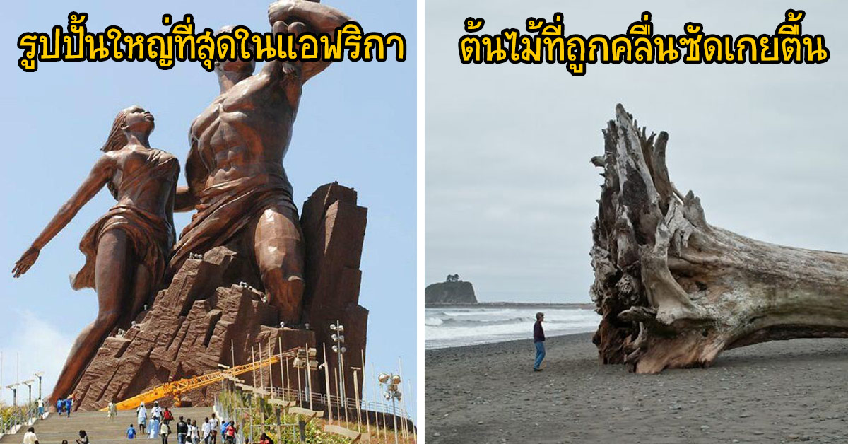 20 ภาพสิ่งใหญ่โตจนน่าตกใจ ที่ทำให้คนกลัวของใหญ่ไม่กล้าดู ภาค 2 - เพชรมายา