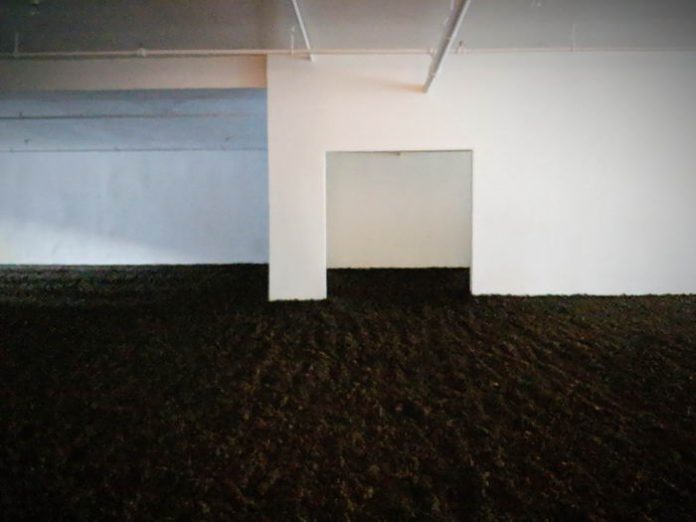 Earth Room ห้องที่เต็มไปด้วยดิน 140 ตัน คืองานศิลปะที่มีคนดูเป็นร้อย ...