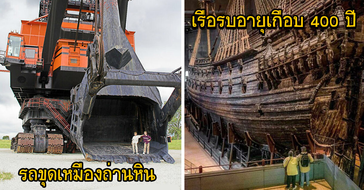 20 ภาพสิ่งใหญ่โตจนน่าตกใจ ที่ทำให้คนกลัวของใหญ่ไม่กล้าดู ภาค 3 - เพชรมายา