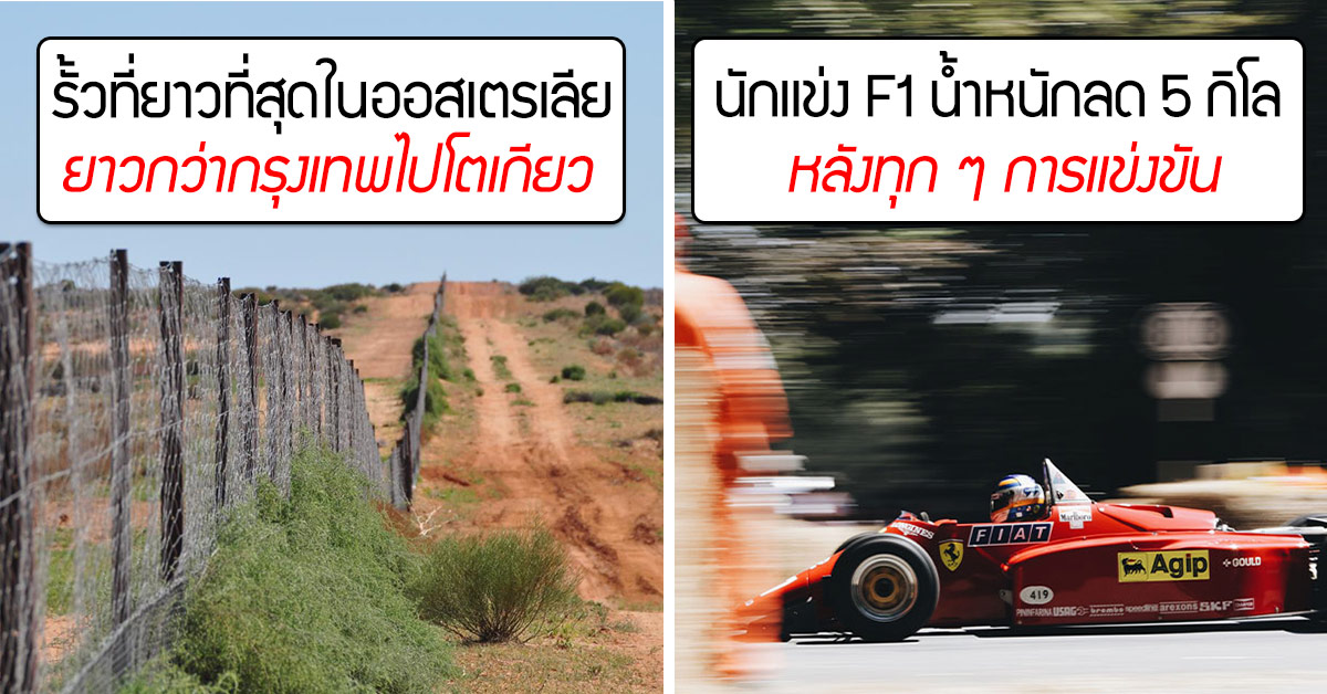 20 ความจริงทางสถิติที่น่าสนใจ ถึงฟังดูโม้แต่มันคือเรื่องจริง - เพชรมายา