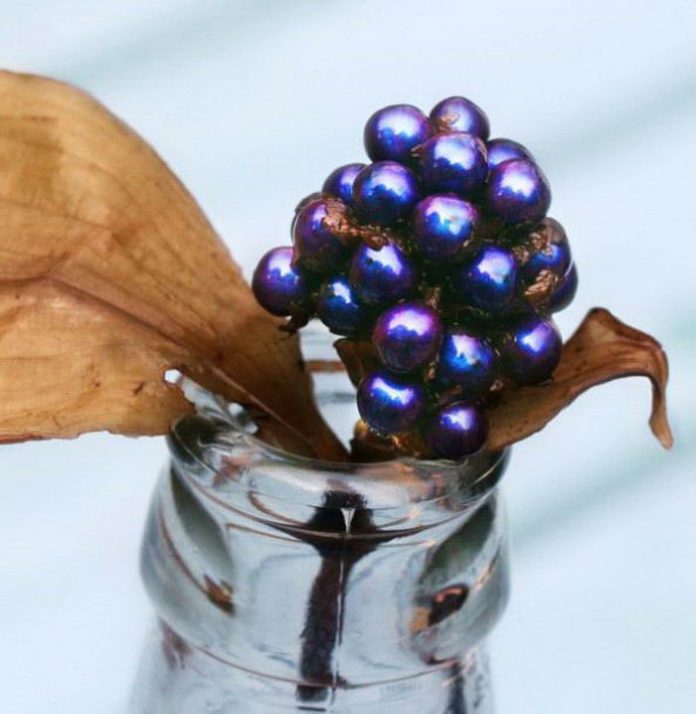 มาร์เบิลเบอร์รี วัตถุจากธรรมชาติที่สว่างสดใสที่สุดในโลก - เพชรมายา