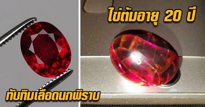 สาวจีนเผยภาพไข่ต้มอายุ 20 ปี ที่ดูราวกับทับทิมหายาก - เพชรมายา