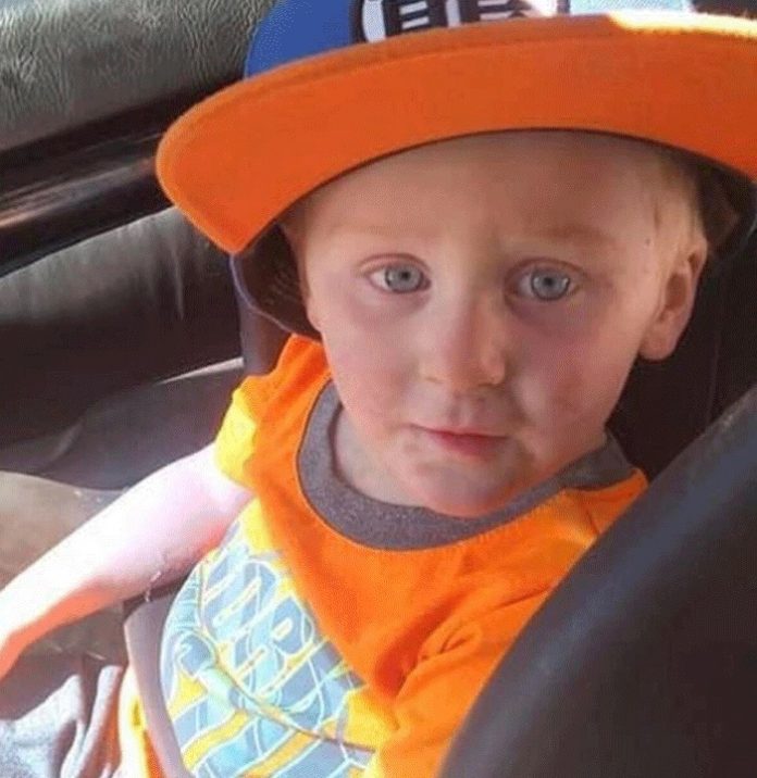 เด็กชาย 3 ขวบที่หายตัวลึกลับในป่า 2 วัน ถูกพบด้วยสภาพน่าขนลุก - เพชรมายา